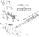 Front Axle - TYM Tractors